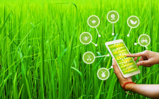 AI-Enabled Precision Agriculture: Revolutionizing Farming Practices for ...